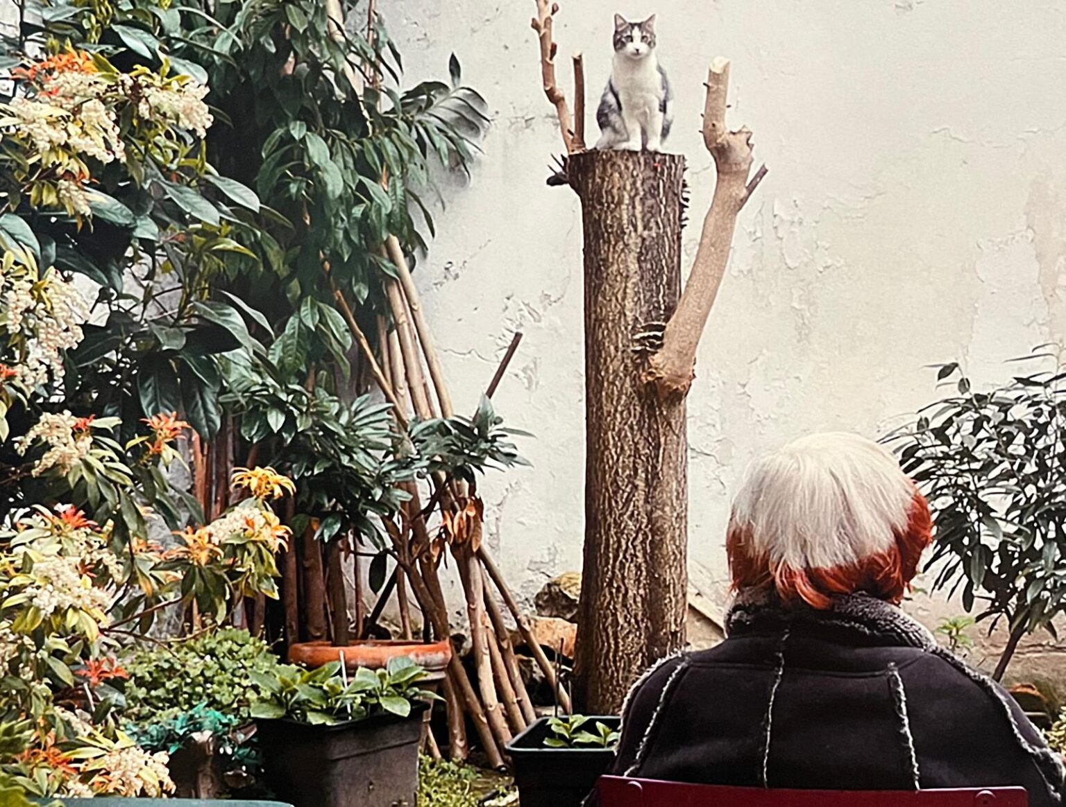 Le Paris d'Agnès Varda au musée Carnavalet - Ecrannoir.fr